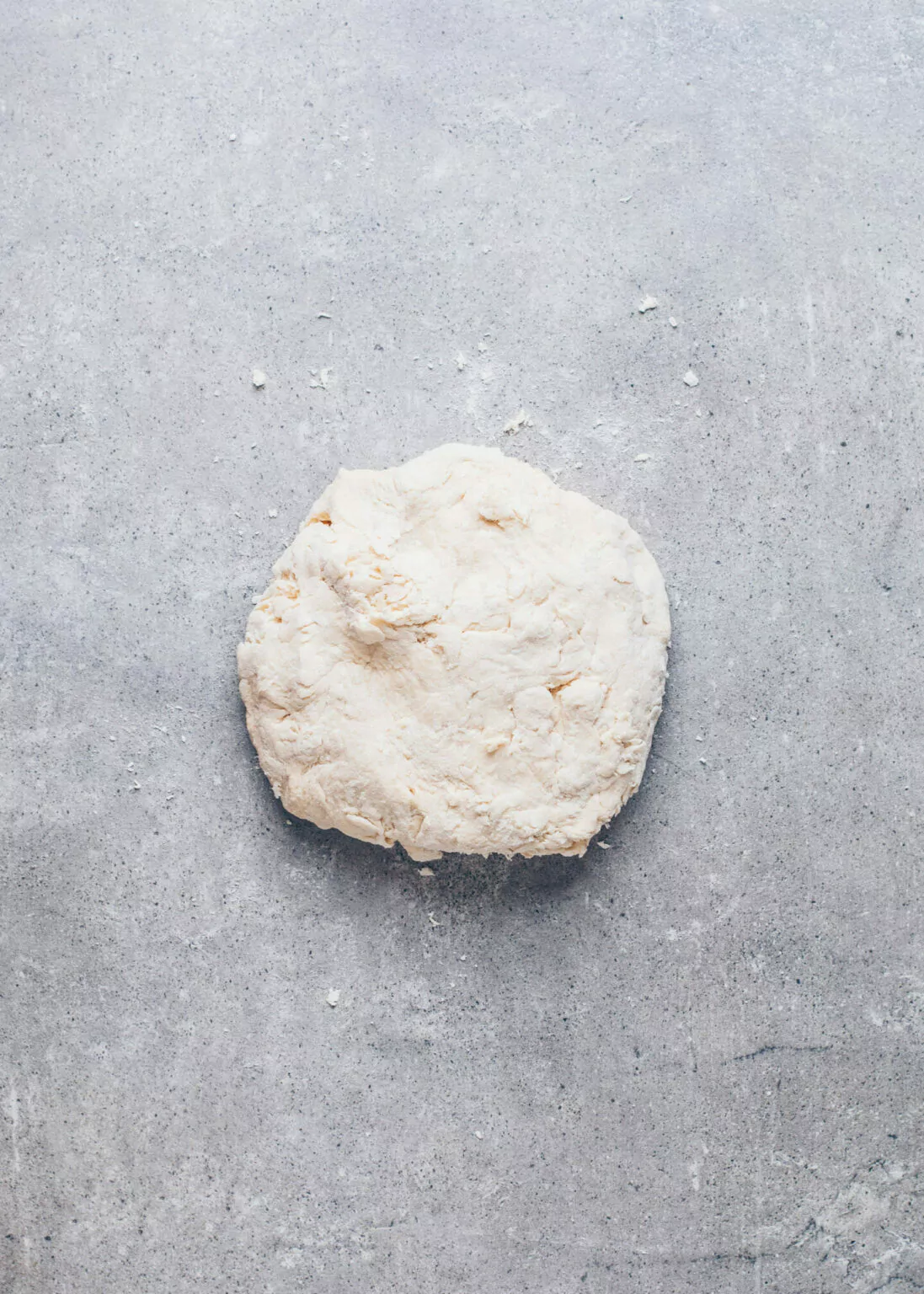 Pan-fried Bao Buns | Vegan Steamed Dumplings - Bianca Zapatka | Recipes